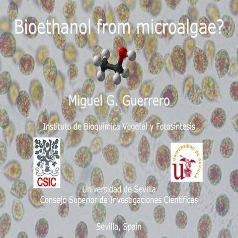 Bioethanol from microalgae | PDF