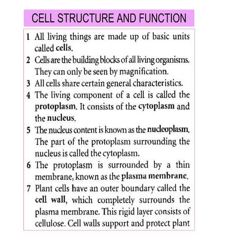 Bio F4 Cell Organel | PPT