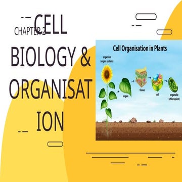BIO F4 Chapter 2 Cell Biology and Organisation.pptx