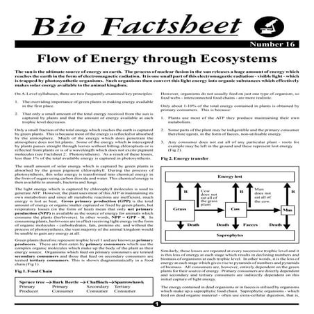 Biofactsheet flowofenergy | PDF