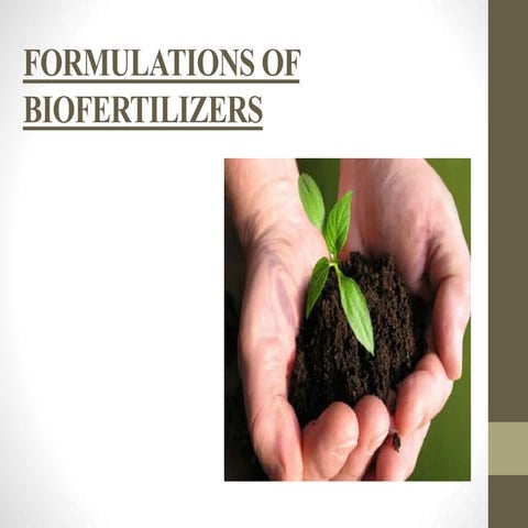 Biofertilizerformulations 210610120130 Pptx
