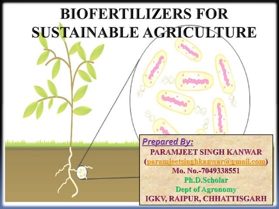 Role of biofertilizer in agriculture | PPTX | Agriculture | Industries