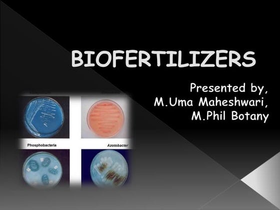 Biofertilizers slide share by ssk | PPT