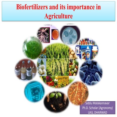Biofertilizers and its importance in Agriculture.pptx