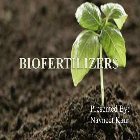Biofertilizers ppt | PPTX