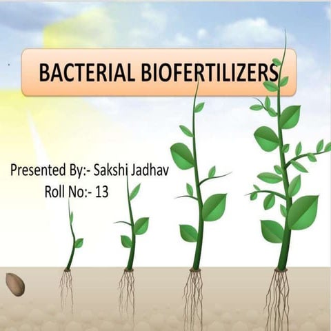 Biofertilizers ppt.pptx | Agriculture | Industries