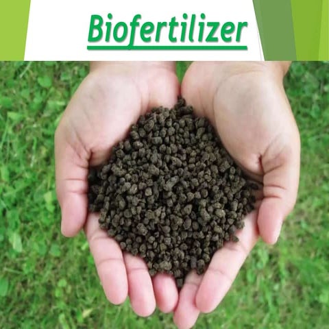 Biofertilizer.pptx