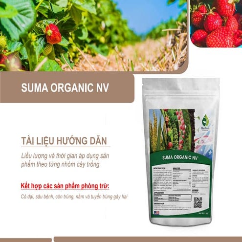 Bioferti suma organic nv combined application 051821 | PPT