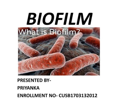 Microbial biofilms formation | PPTX