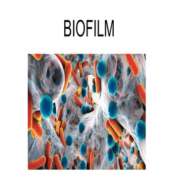 Biofilm.pptx