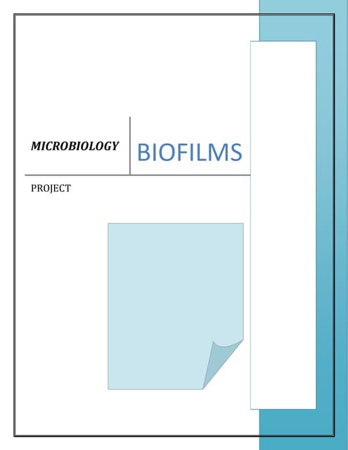 Microbial biofilms formation | PPT