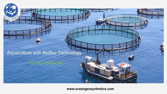 Biofloc Fish Farming Tanks | PPTX | Biotech and Biomedical Industry ...