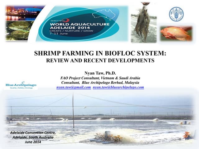 Biofloc Technology in aquaculture