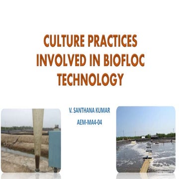 Biofloc technology | PPTX