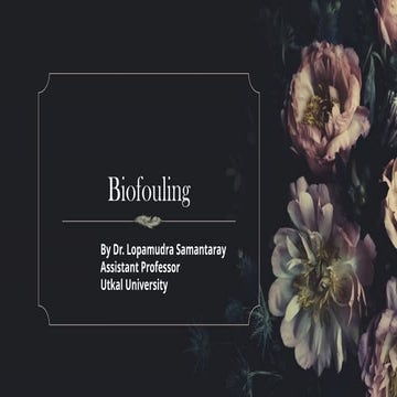 Biofouling (Steps and Consequences).pptx