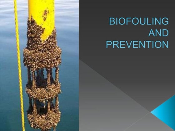 Biofouling | PDF