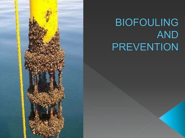 Biofouling | PDF