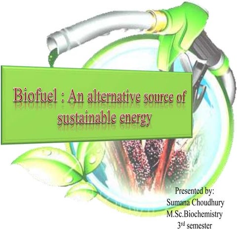 Oil Palm Derivative from Palm oil to biofuel | PPTX