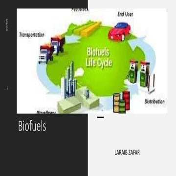 BIOFUEL.pptx
