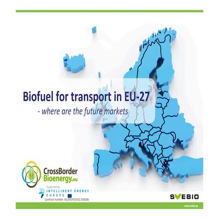Biofuel For Transport In Eu 27 Where Are The Future Markets | PDF
