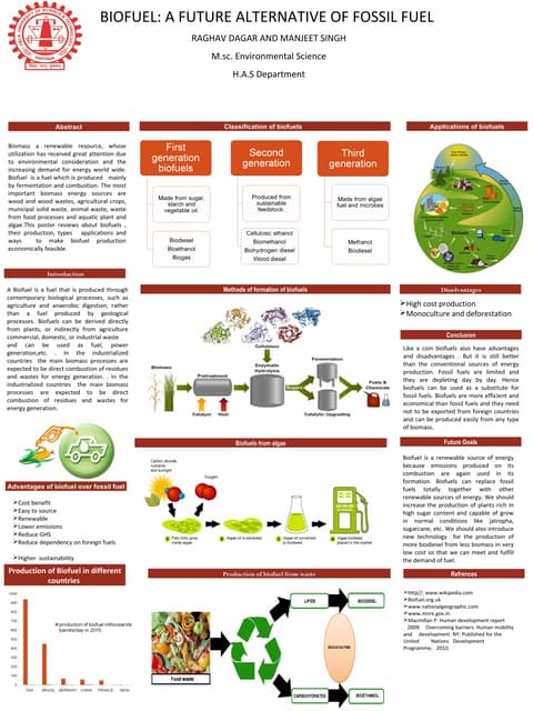 Poster (Biofuels) | PPT | Food Movements | Food & Drink