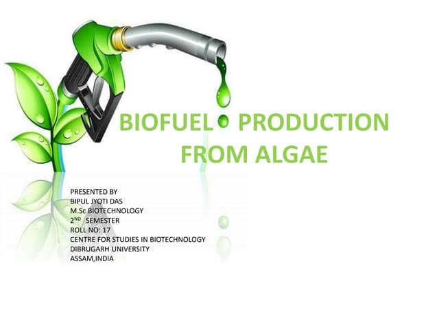 Algae fuel