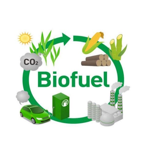 Biofuels and its importance in India ppt | PPTX
