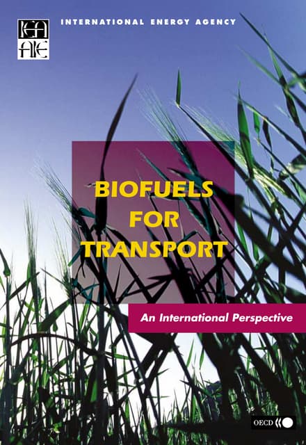 j.biombioe.2009.07.008.pdf