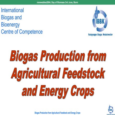 Biogas Production from Agricultural Feedstock and Energy Crops | PPT