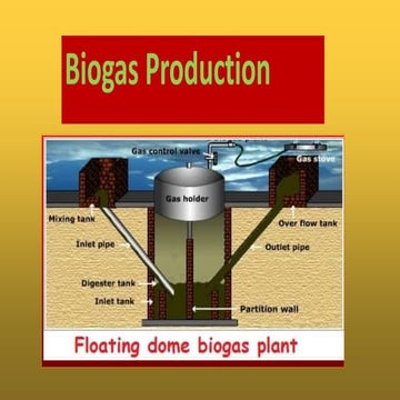 BIOGAS PRODUCRTION PROCESS.pptx