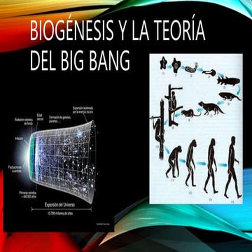 BIOGENESIS .pptx