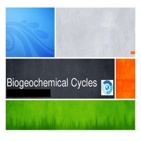Biogeochemical Cycle - PEOPLE AND EARTH’S ECOSYSTEM (MST-PEE) | PPTX