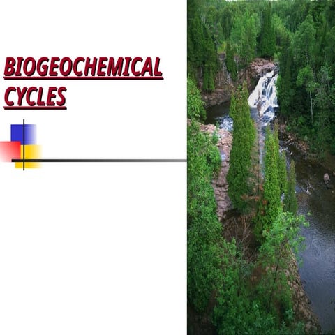 biogeo_chemical_cycle system in general .ppt