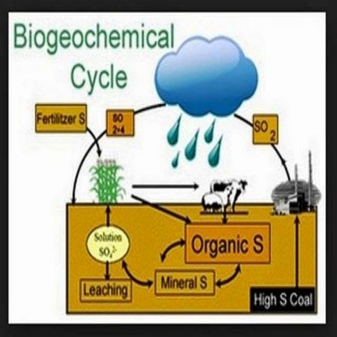 Biogeo chemical cycle class 2.ppt
