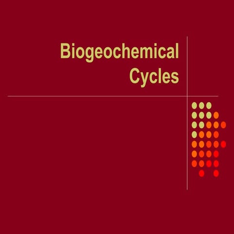 Biogeochemical Cycles | PPT | Chemistry | Science