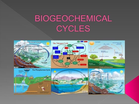 Carbon cycle ppt | PPTX
