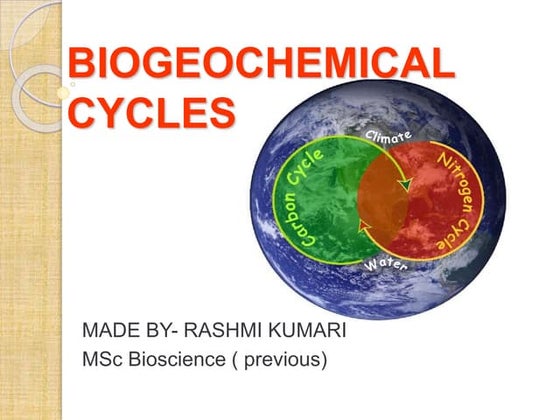 Biogeochemical cycles | PPT