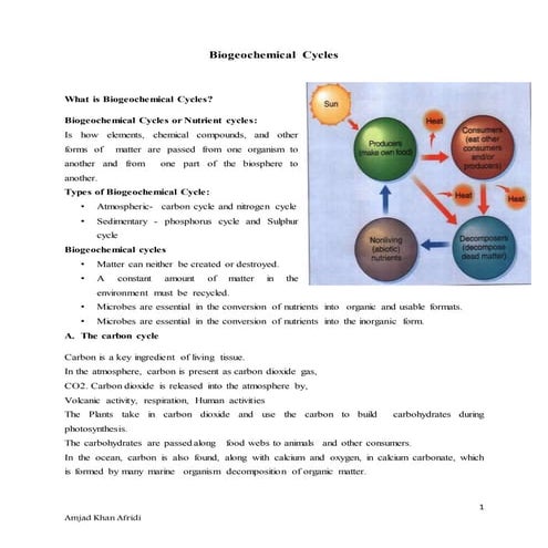 Biogeochemical cycles | PDF