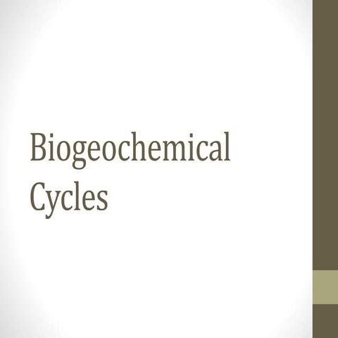 Biogeochemical Cycles.pptx