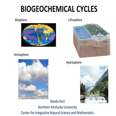 biogeochemicalcycles.pdf