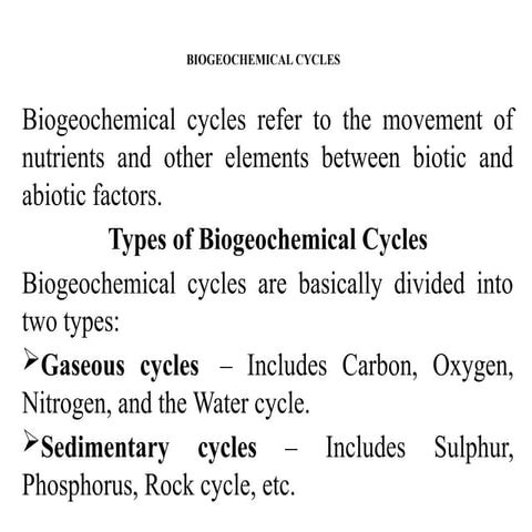 Comprehensive Overview of Biogeochemical Cycles: Carbon, Nitrogen ...