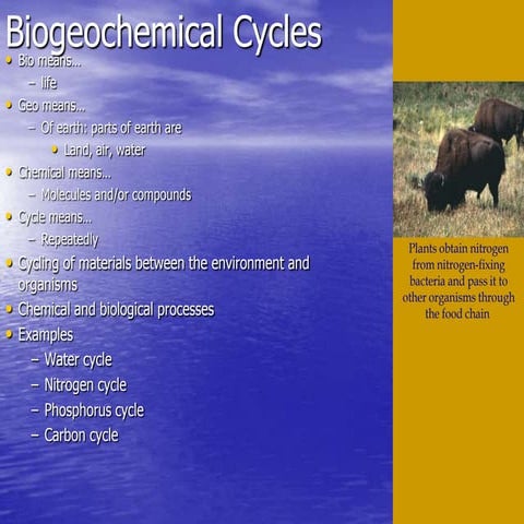 Cycling of Matter in Ecosystems | PPT