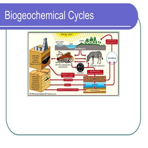 biogeochemical_cycles_chapter_5_1.ppt
