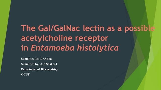 Structural Bioinformatics/Molecular Docking.pptx Structural Bioinformatics/Molecular Docking.pptx