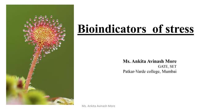 Bioindicators ppt | PPTX | Zoos & Aquariums | Attractions