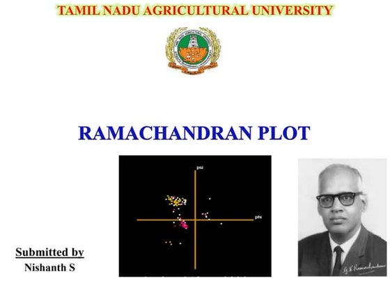 Ramachandran plot | PPTX | Chemistry | Science
