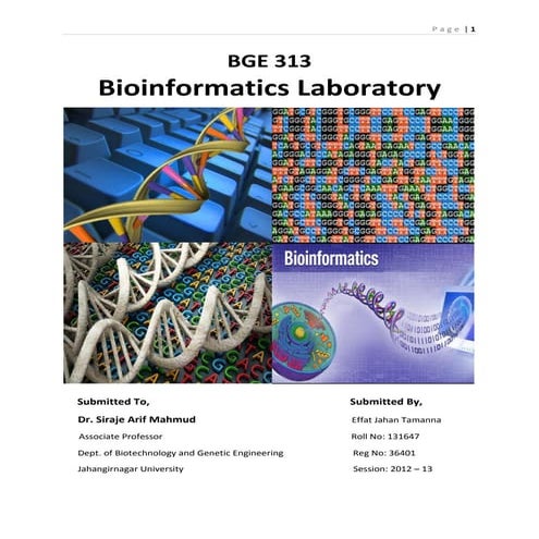 Bioinfomatics laboratory | PDF