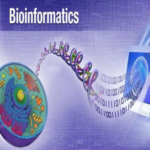 Bioinformatics Pptx