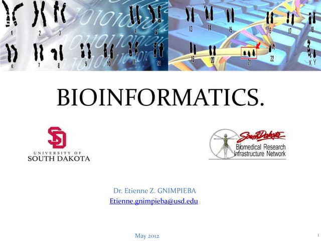 Bioinformatics Course Ppt