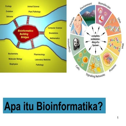 Presentation Bioinformatics Introduction.pptx